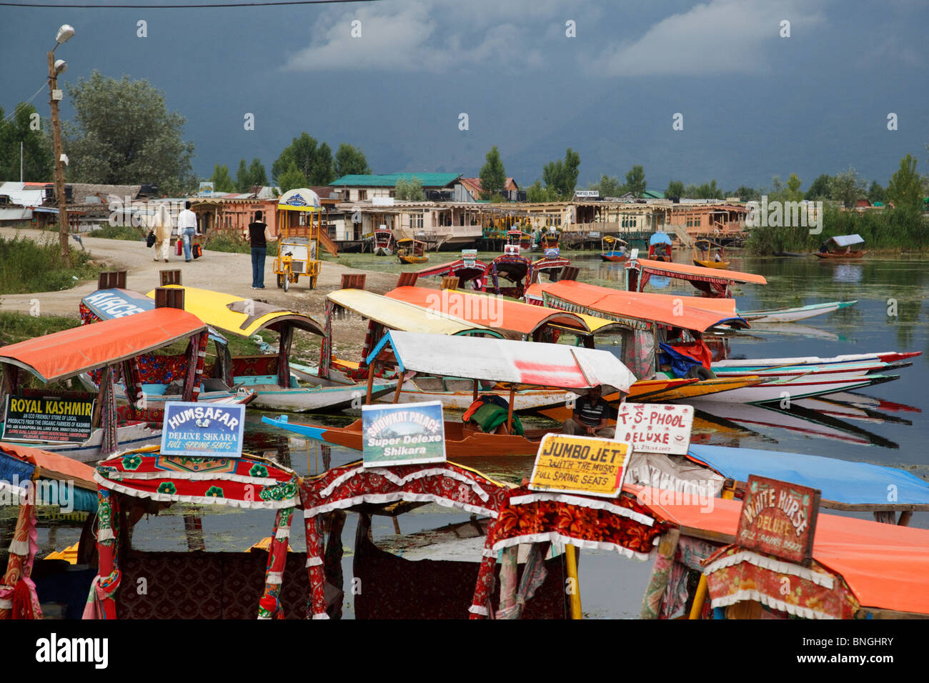 Shikara boats parked on Dal Lake in Srinagar, Jammu and Kashmir, India ...