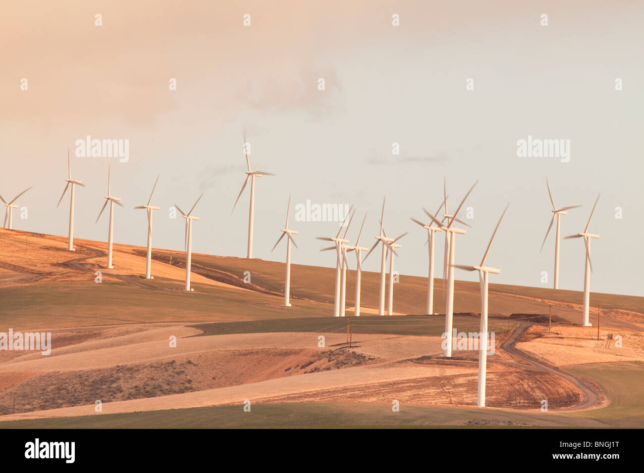 Wind turbines on a hill, Kennewick, Washington State, USA Stock Photo ...