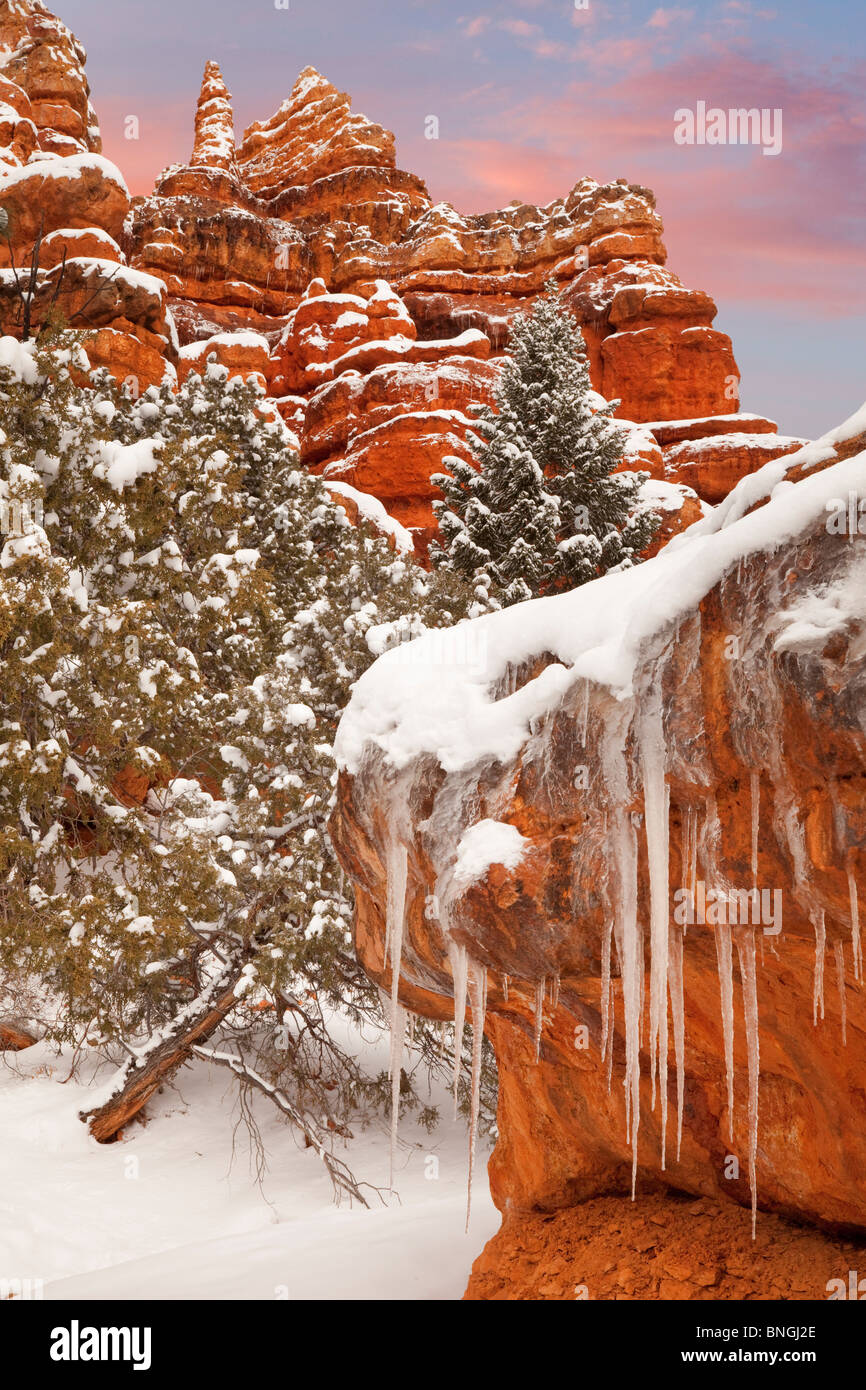 Snowy rocks, Red Canyon State Park, Utah, USA Stock Photo - Alamy
