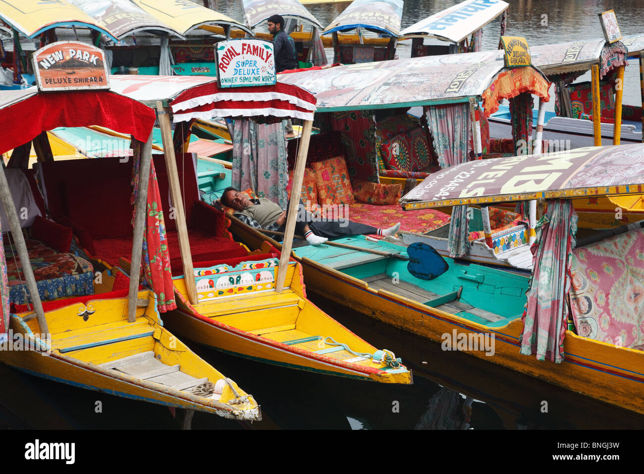 Shikara boats hi-res stock photography and images - Alamy