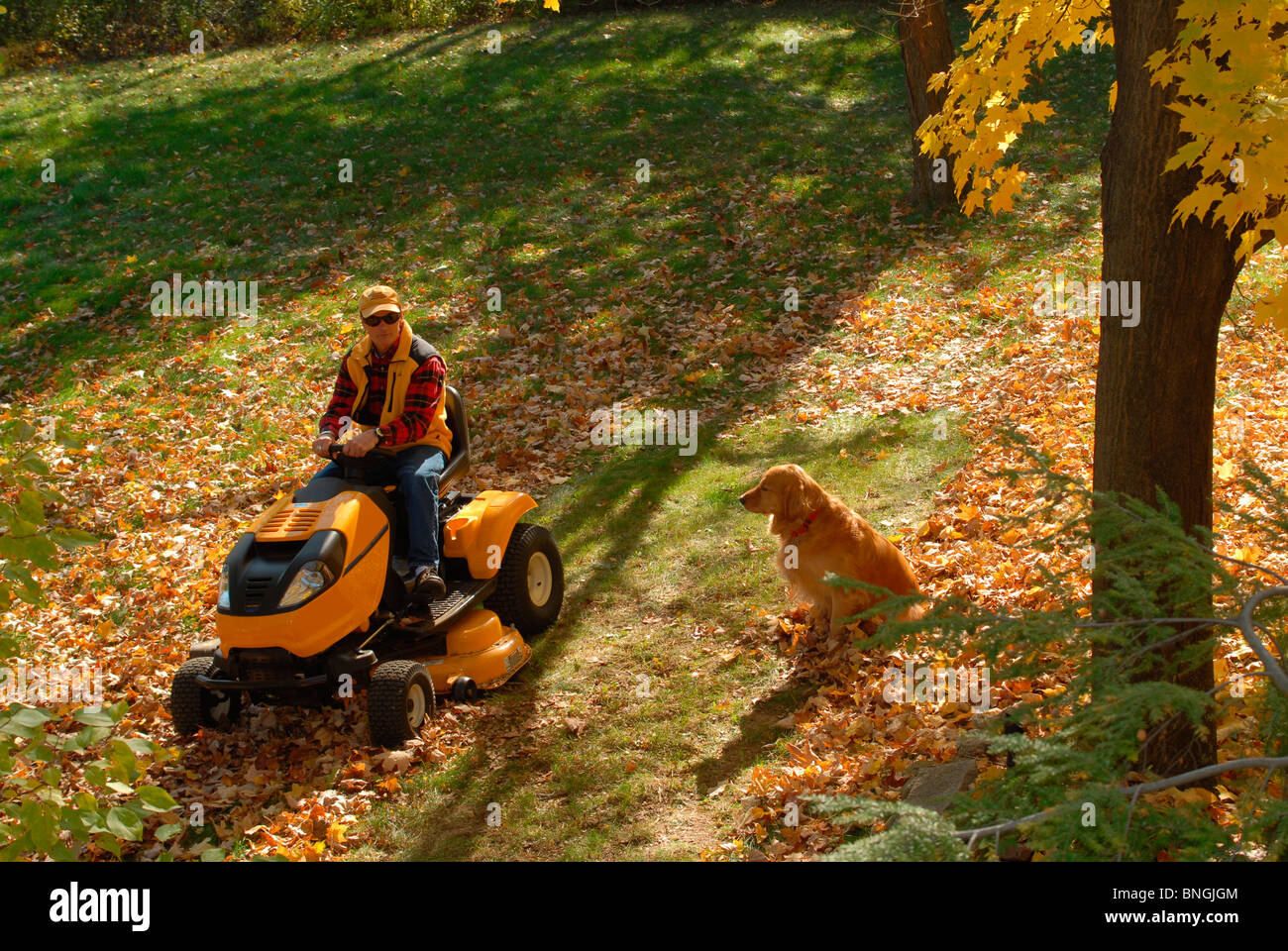 Man driving a lawn mower Stock Photo - Alamy