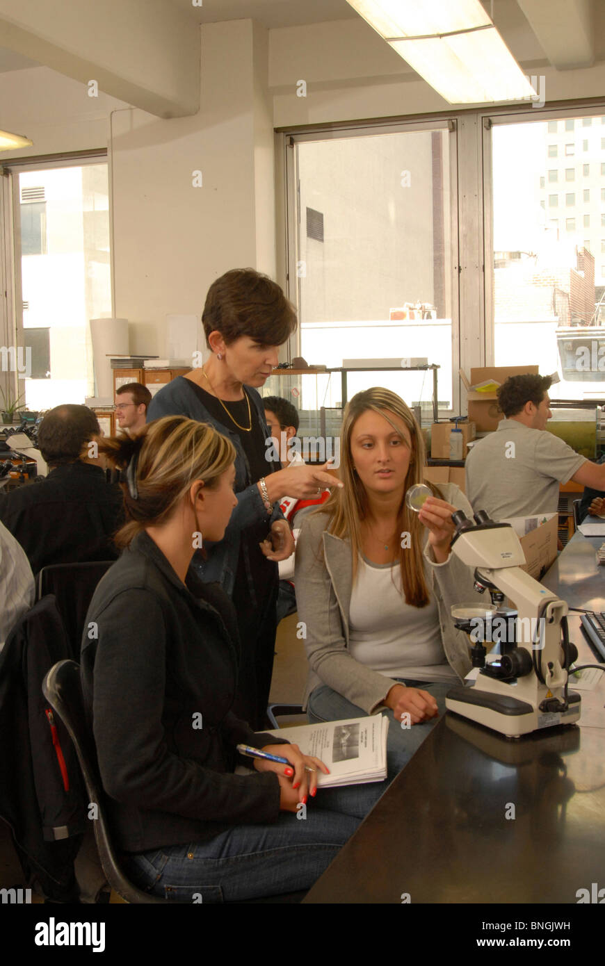 Professor working with students in a biology laboratory Stock Photo - Alamy