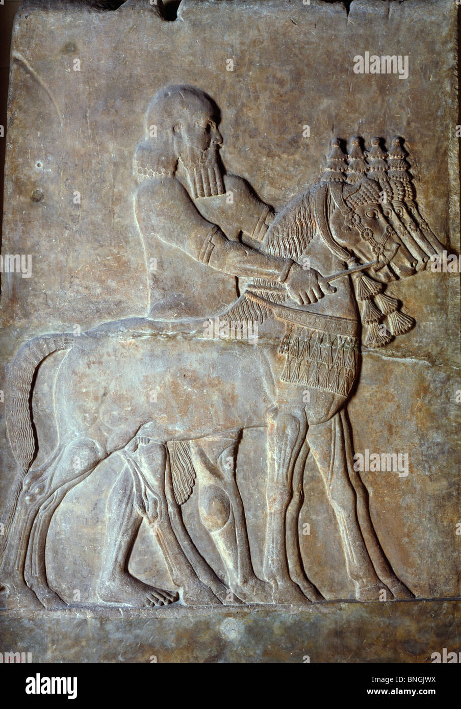 Mesopotamian art hi-res stock photography and images - Alamy
