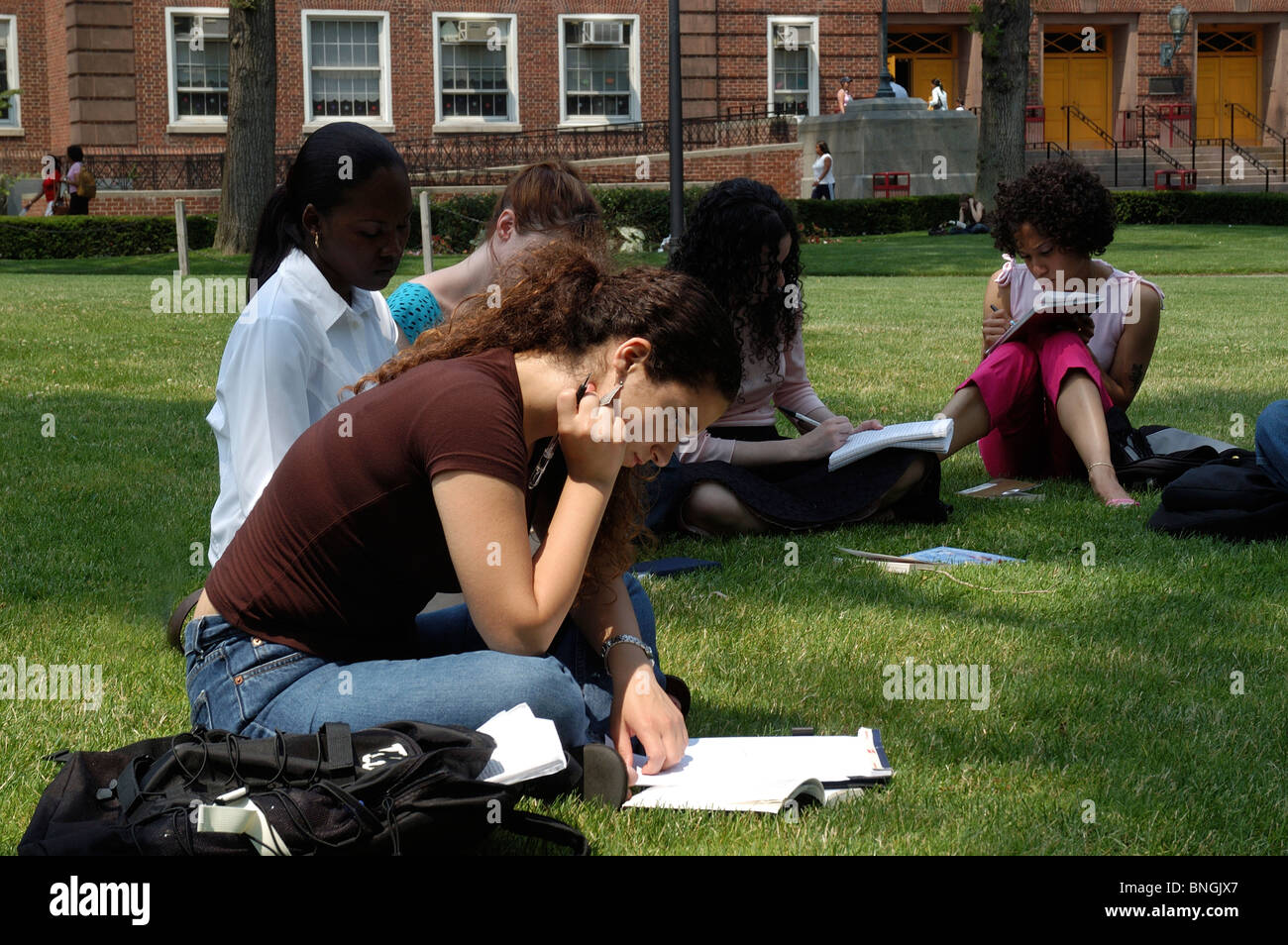 College students studying in the campus lawn Stock Photo - Alamy