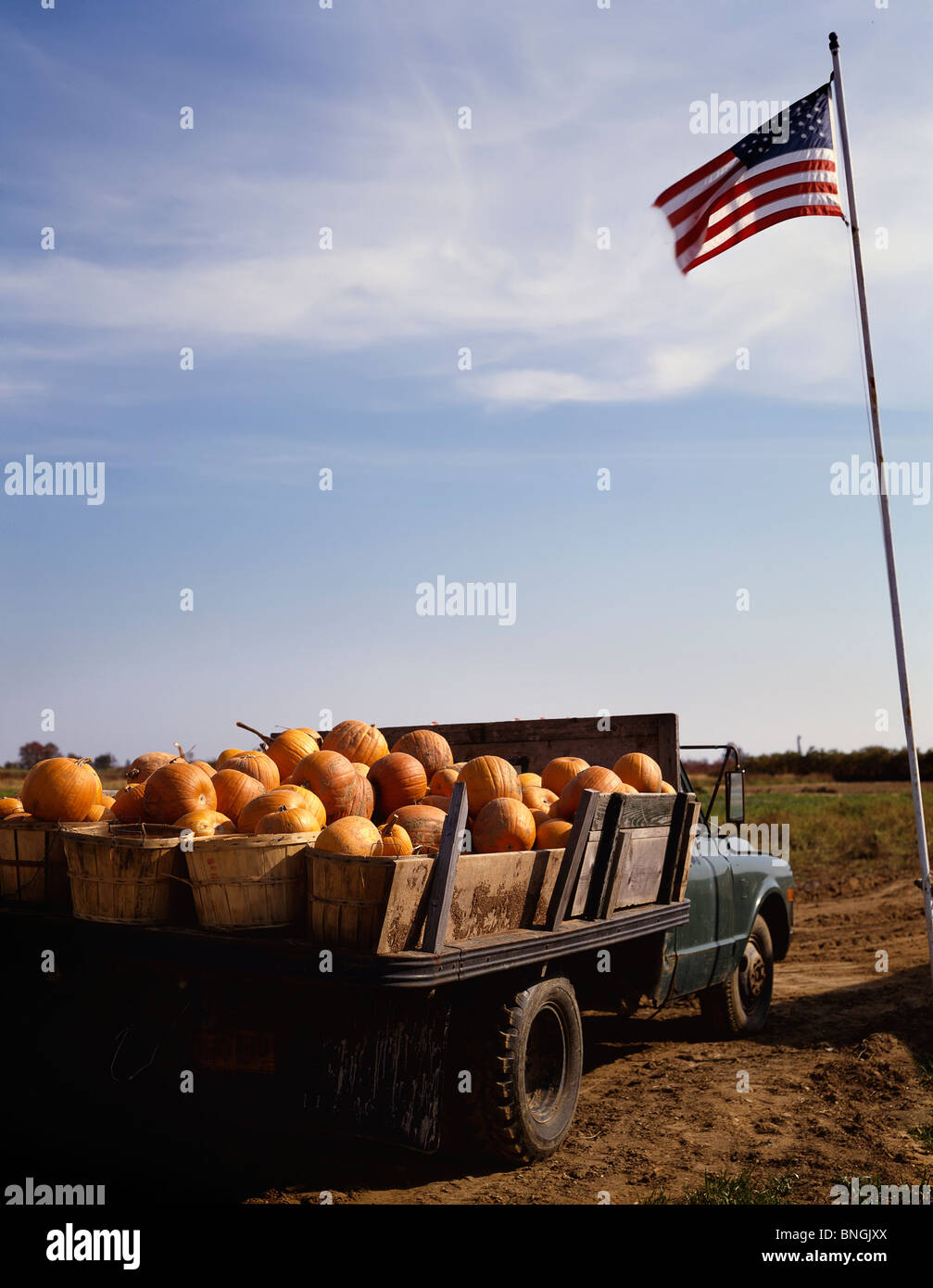 Pick-up truck loaded with pumpkins, Long Island, New York State, USA ...