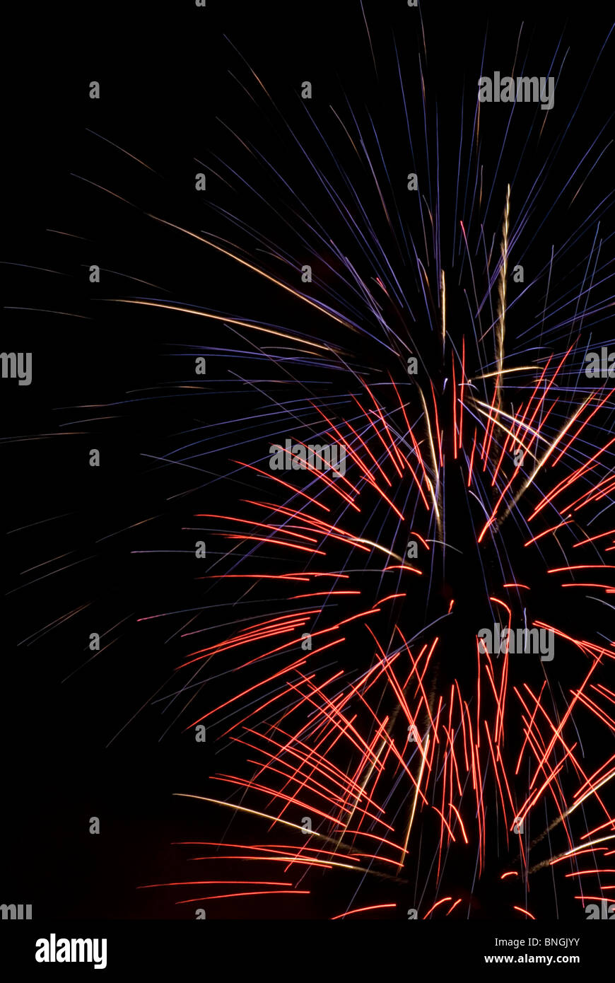 Low angle view of fireworks display at night Stock Photo - Alamy