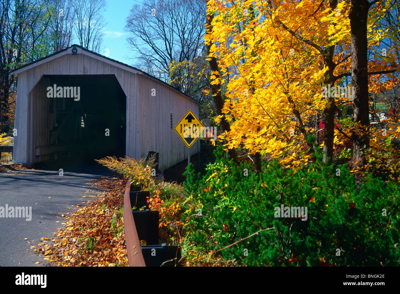 Covered bridge in a forest, Green Sergeant's Covered Bridge, Stockton ...
