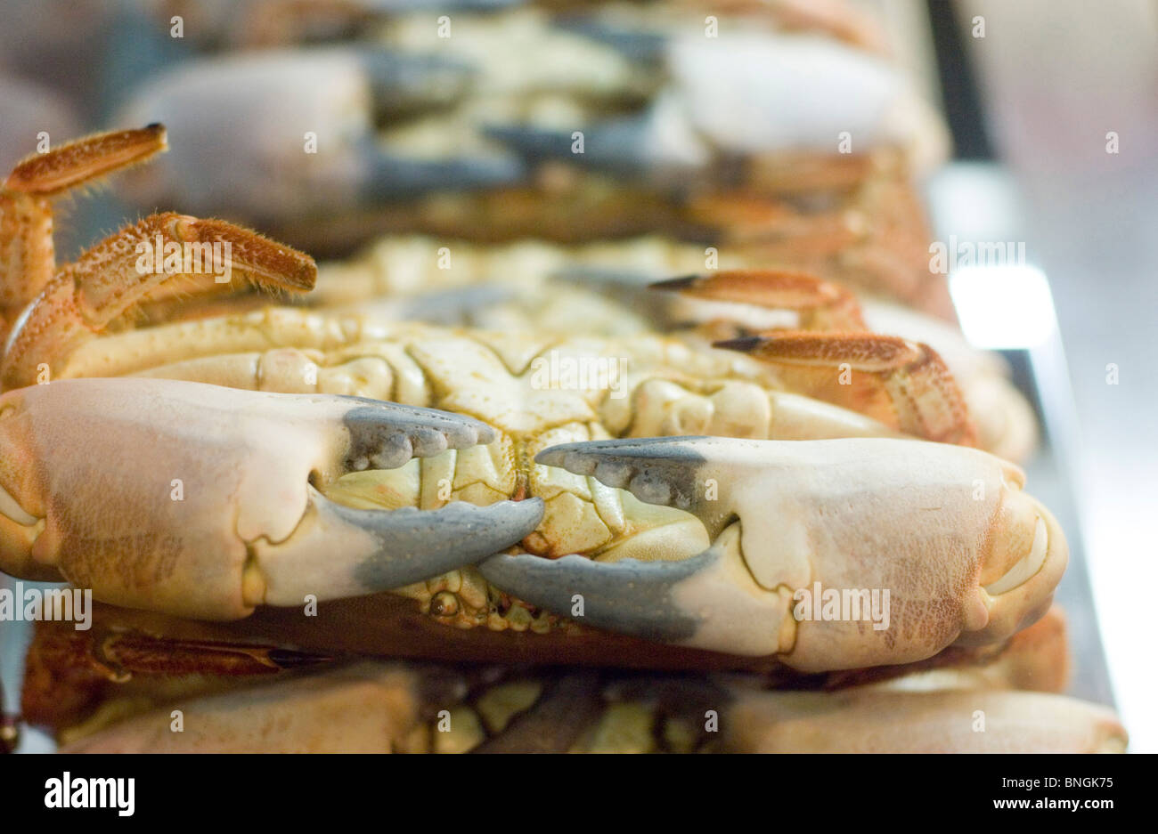 Crabs meat in a restaurant Stock Photo - Alamy