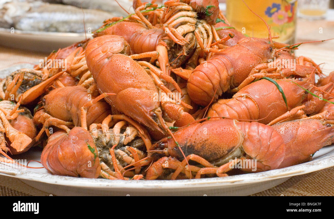 Cooked crayfish on a plate Stock Photo - Alamy