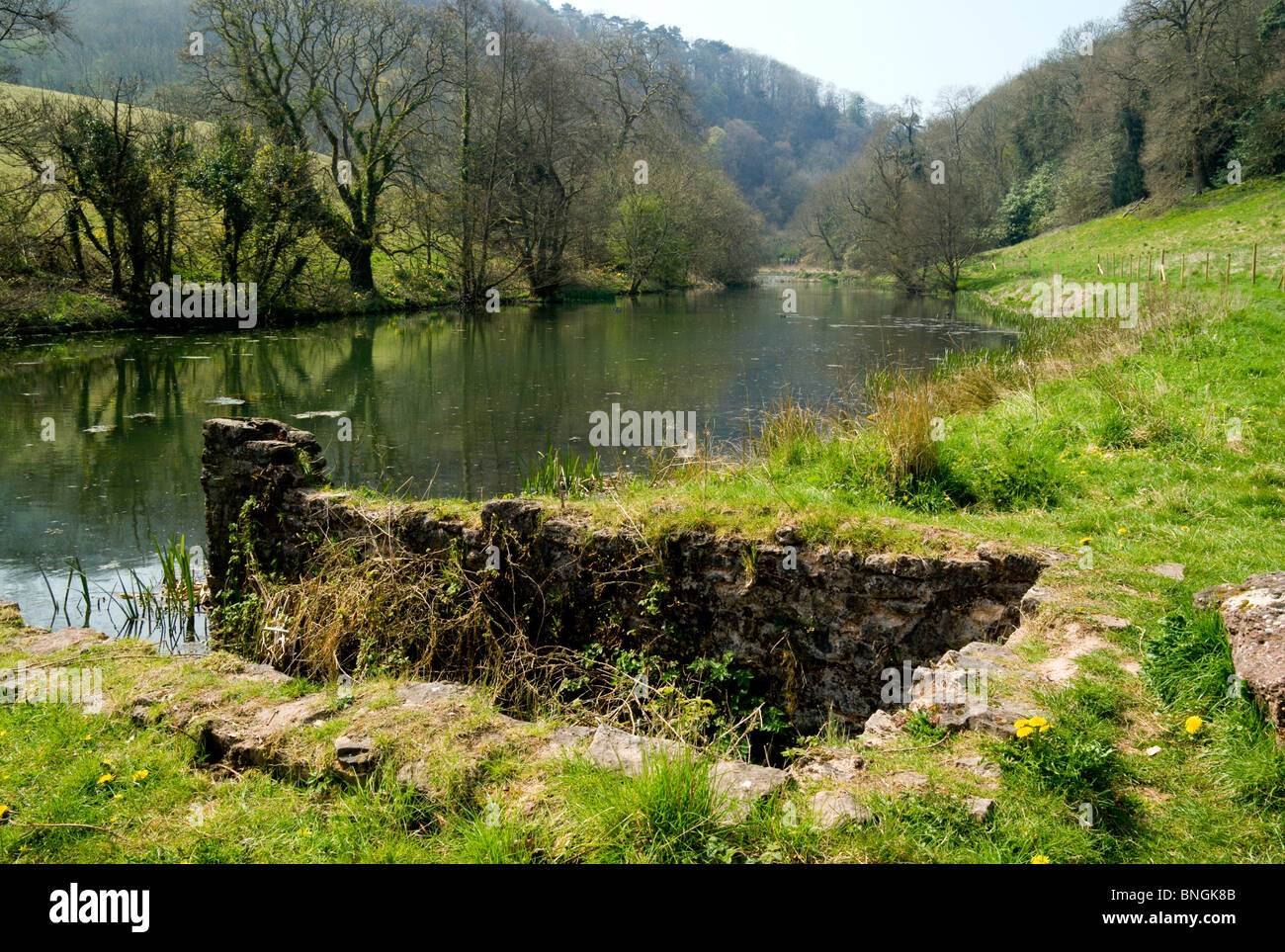 Lakes Cwrt Yr Ala Park, Michaelston Le Pit near Dinas Powys, Vale of ...