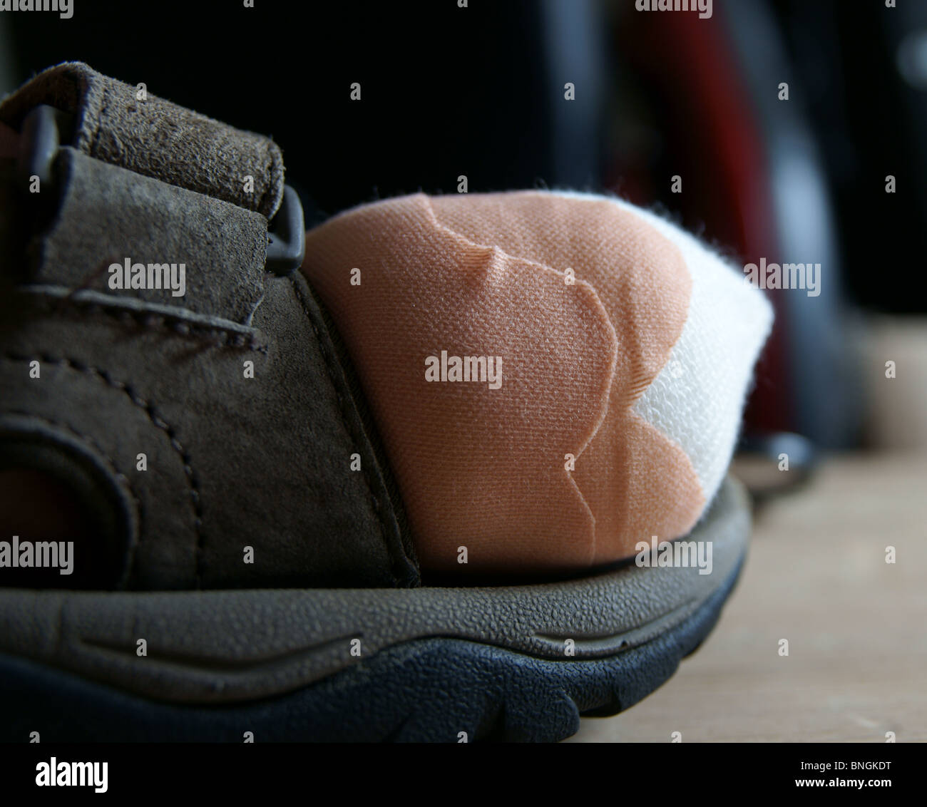 Toe injury - dressing Stock Photo - Alamy
