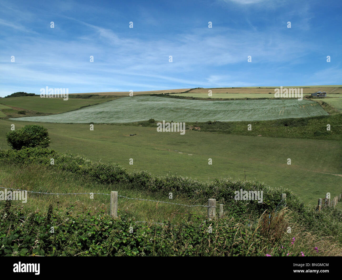 Arable crops field farming hi-res stock photography and images - Alamy