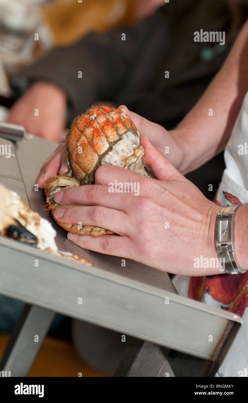 Prepping Locally Caught Crab, Dartmouth Devon Stock Photo - Alamy