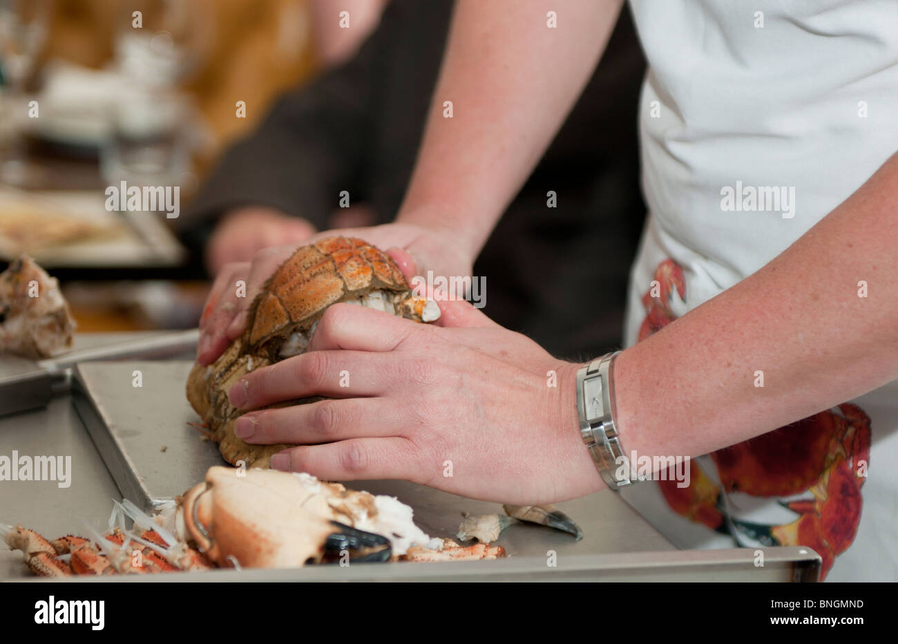Prepping Locally Caught Crab, Dartmouth Devon Stock Photo - Alamy