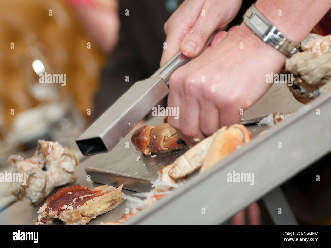 Prepping Locally Caught Crab, Dartmouth Devon Stock Photo - Alamy