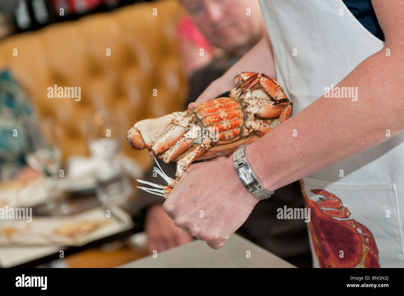 Prepping Locally Caught Crab, Dartmouth Devon Stock Photo - Alamy
