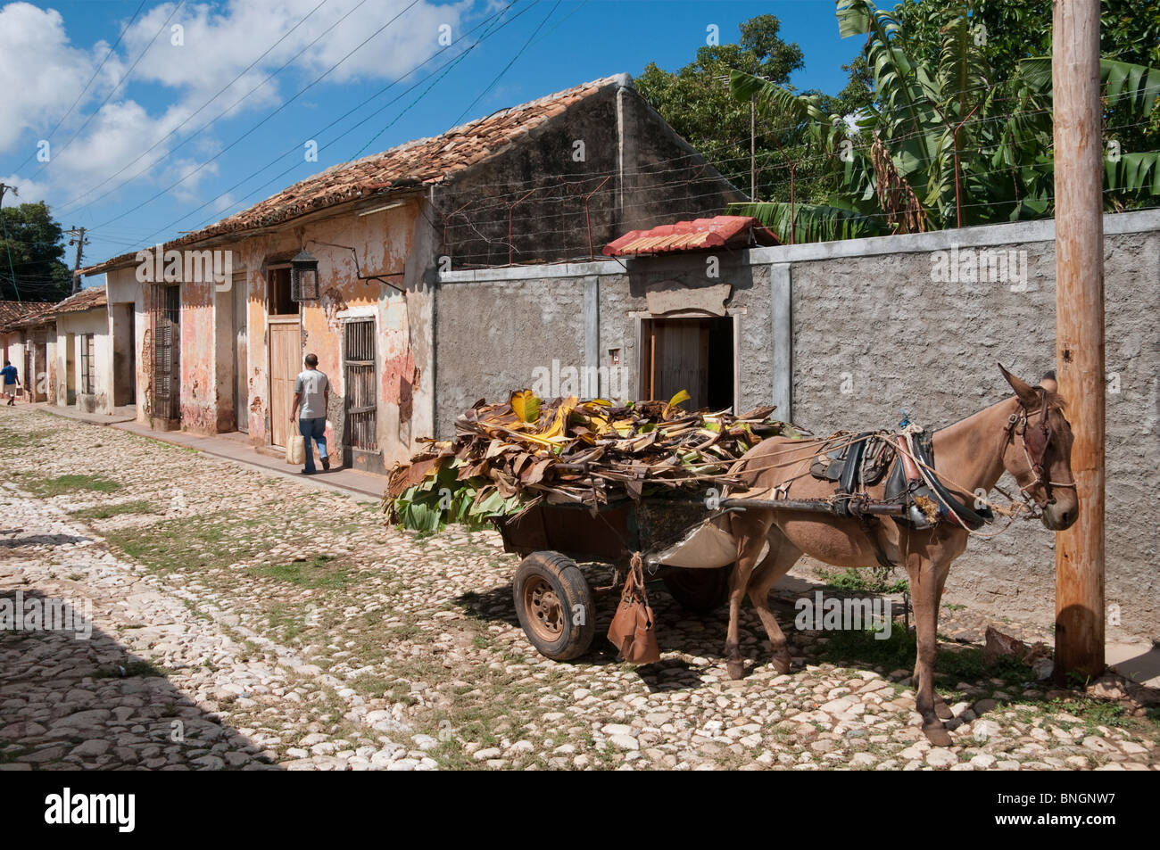 Cuban Street Life, Trinidad, Cuba Stock Photo - Alamy