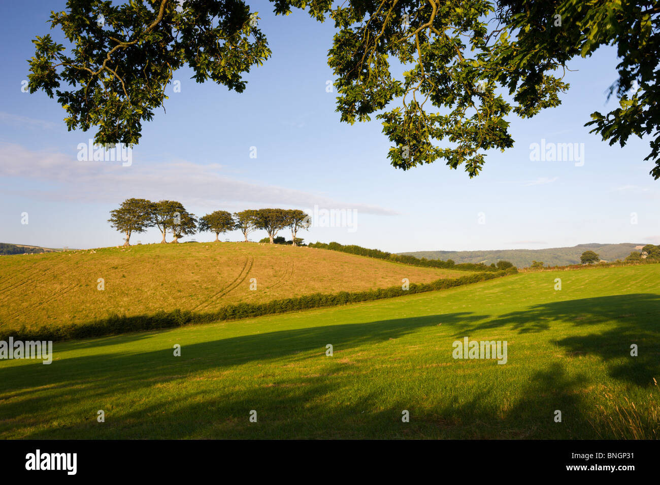 Summertime Exmoor countryside scenes between the villages of Horner and ...