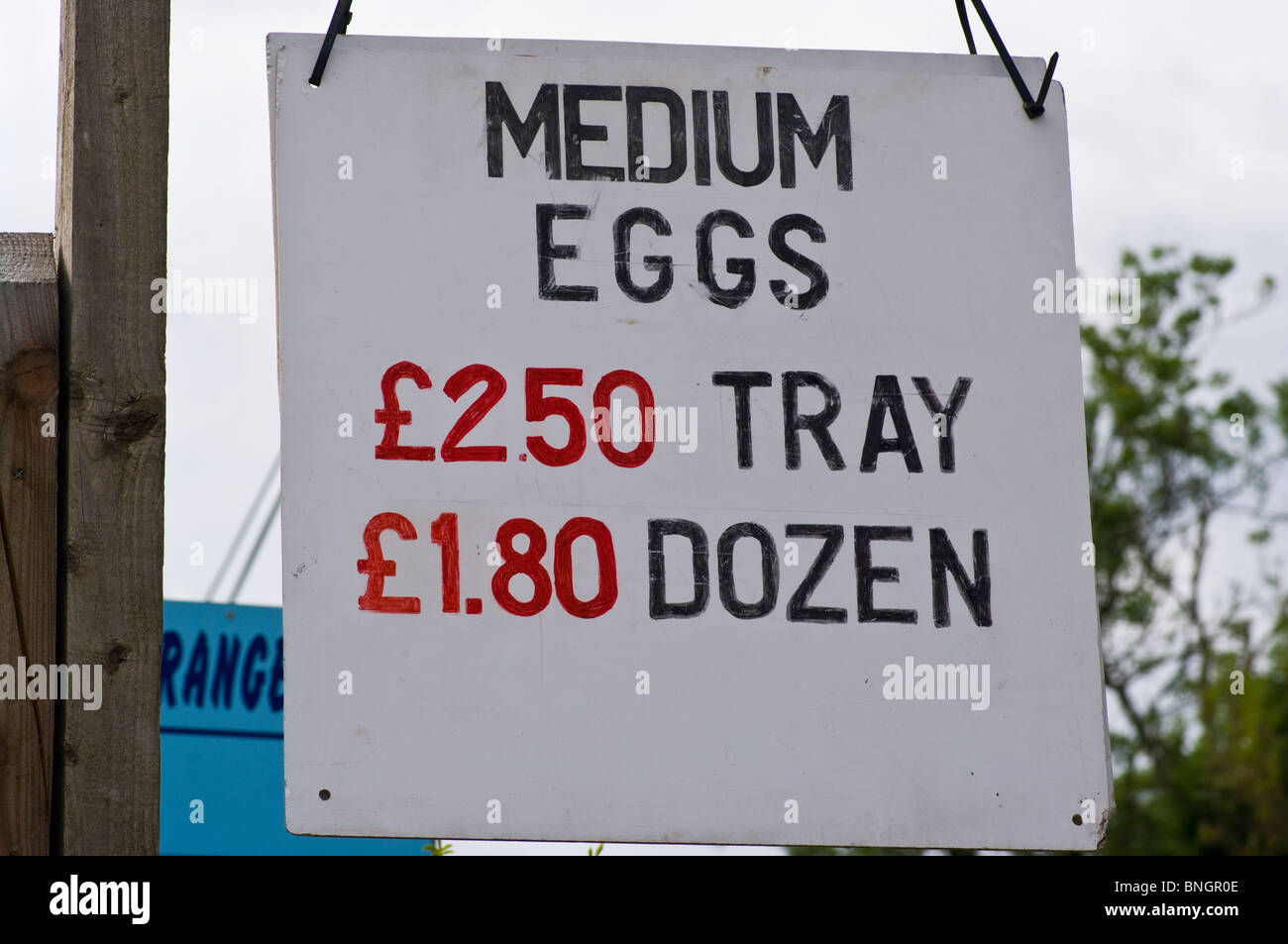 Eggs for sale signs hi-res stock photography and images - Alamy