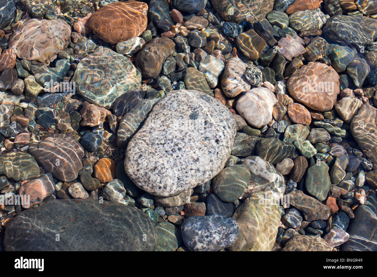 Colourful stones on a stream bed Stock Photo - Alamy