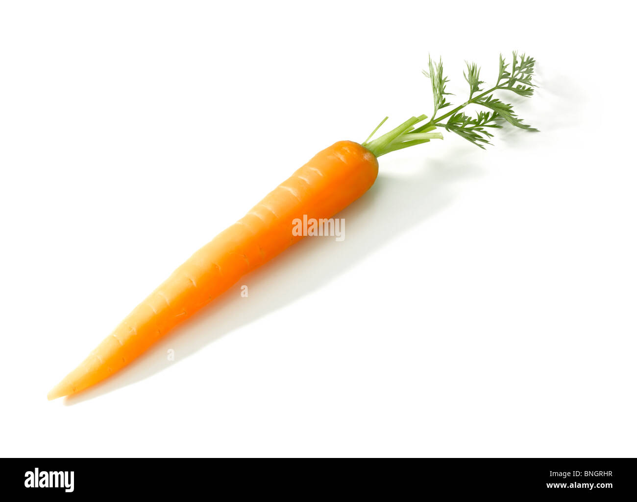 Fresh carrot on a white background Stock Photo - Alamy