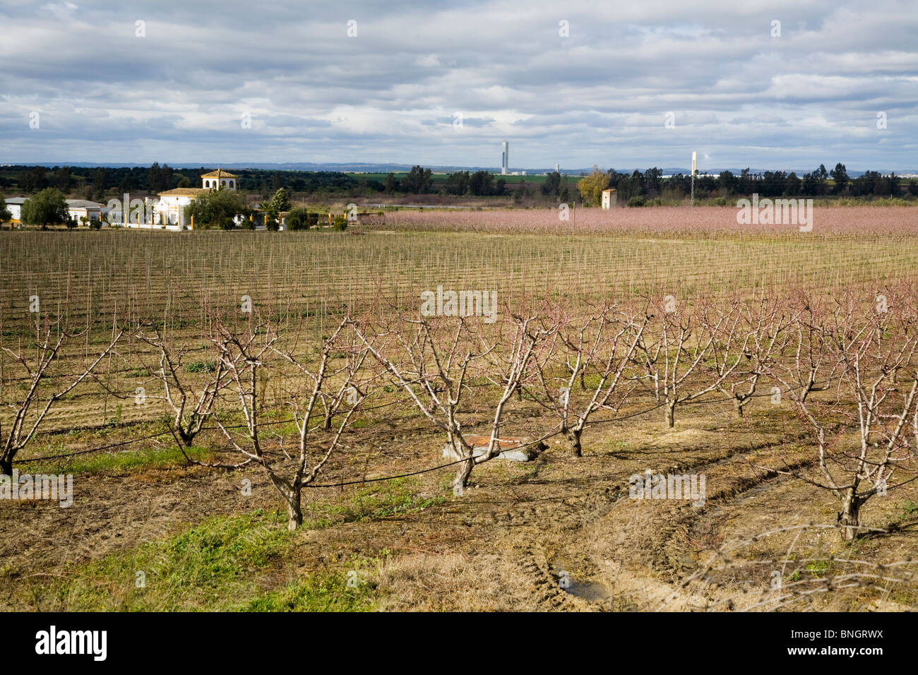 Sevile row hi-res stock photography and images - Alamy