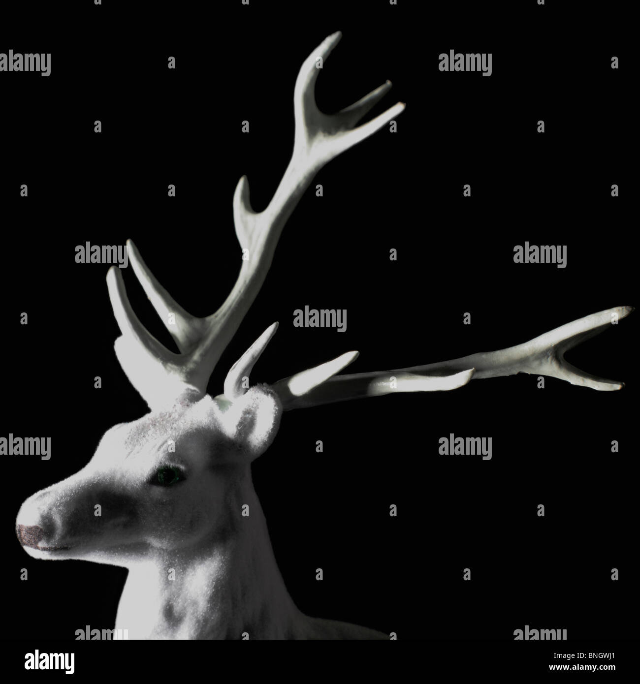 Black buck one hi-res stock photography and images - Alamy