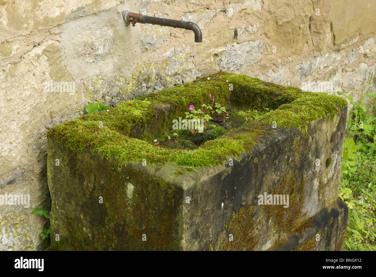 Old water basin in monastery Schöntal,Jagsttal,Germany Stock Photo - Alamy
