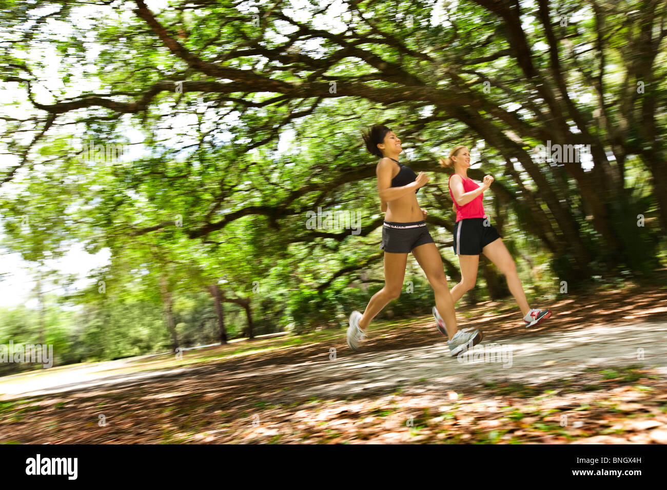 Two women jogging in a park Stock Photo - Alamy
