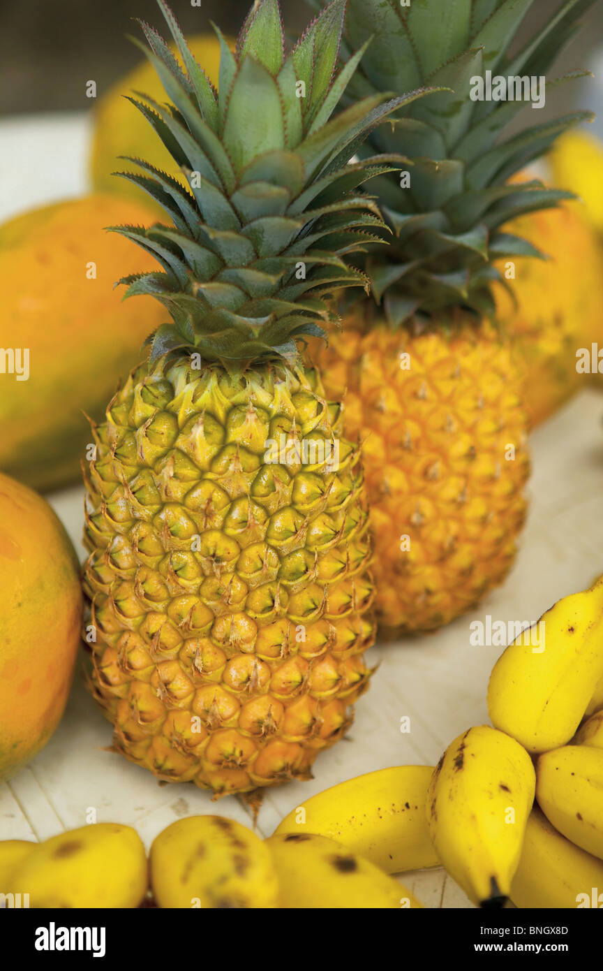 Nutrition society hi-res stock photography and images - Alamy