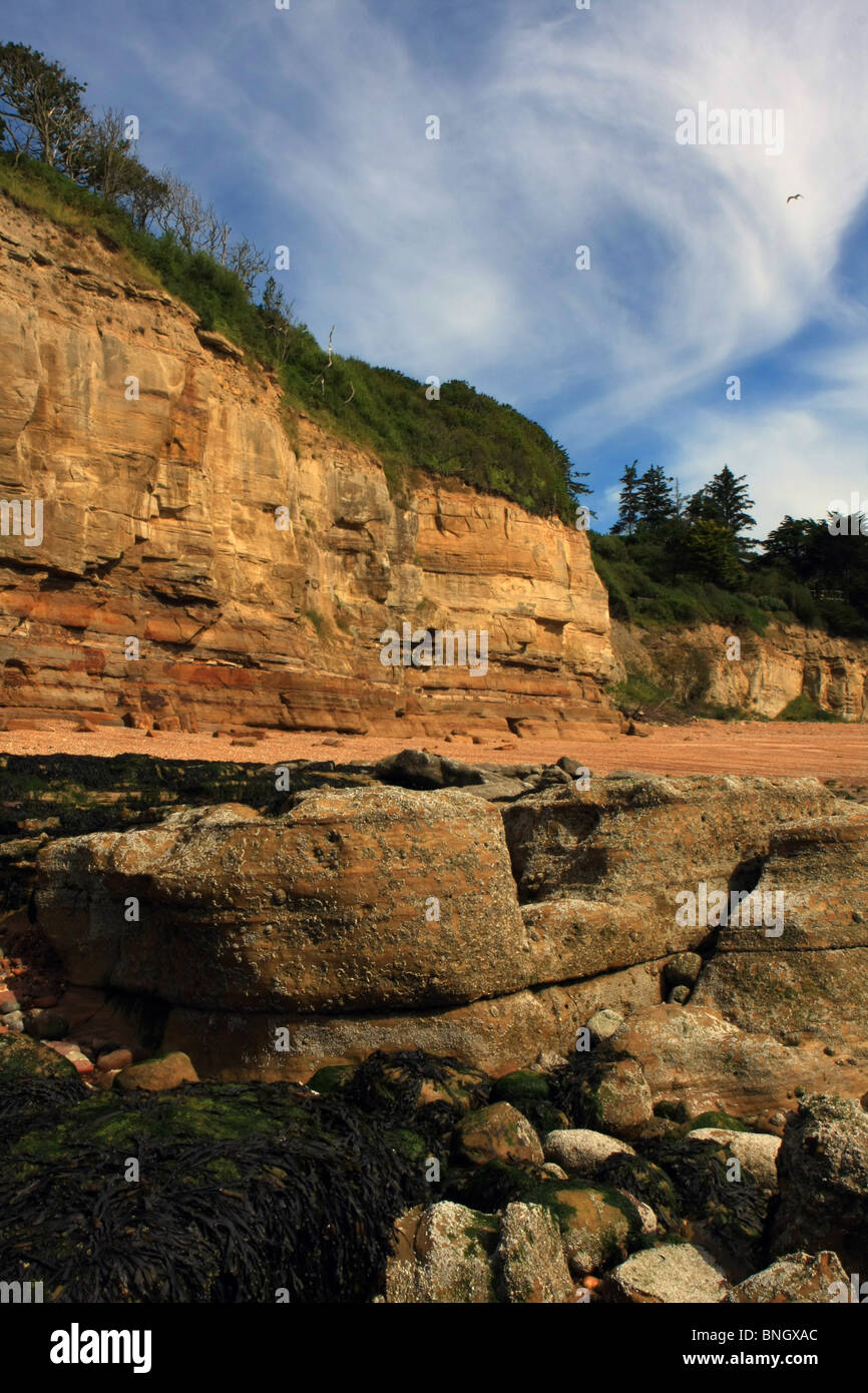 a view of part of the shore and cliff face at Pett Level, East Sussex ...