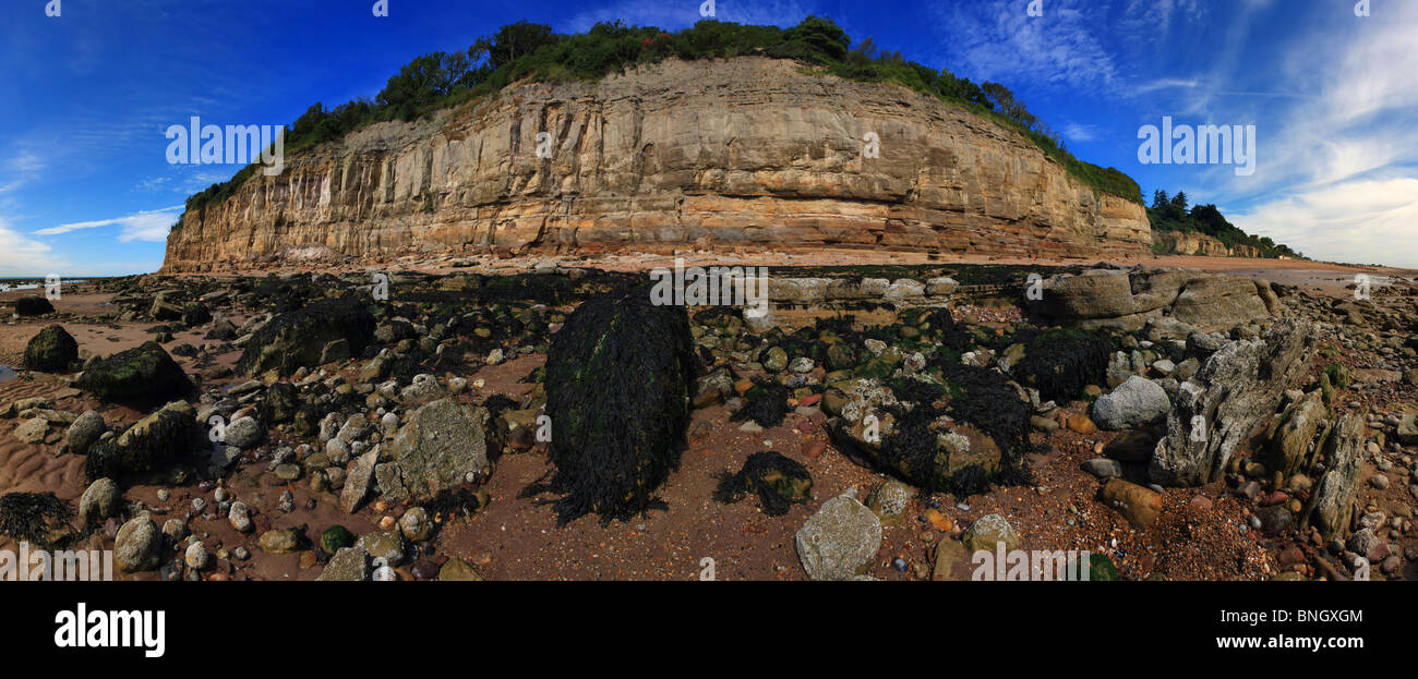 A panoramic view, at low tide, from the beach towards part of the cliff ...