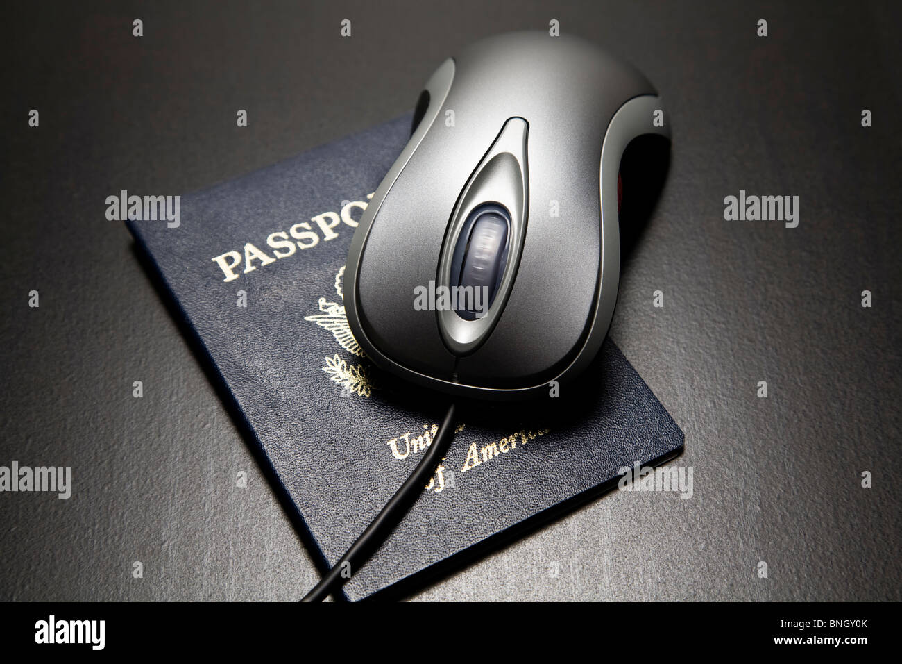 Computer mouse on passport Stock Photo - Alamy