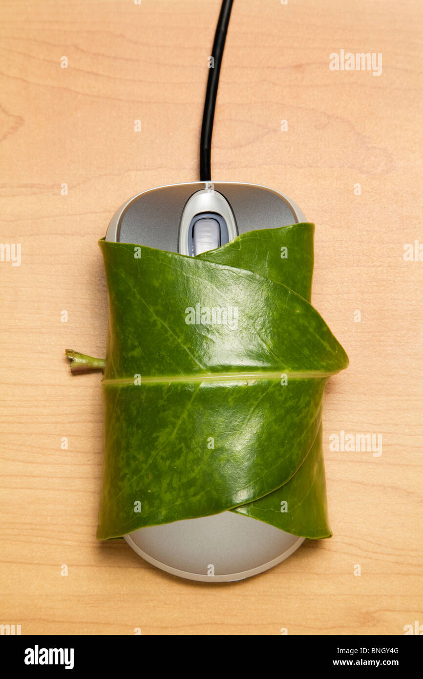 Computer mouse wrapped in a leaf Stock Photo - Alamy