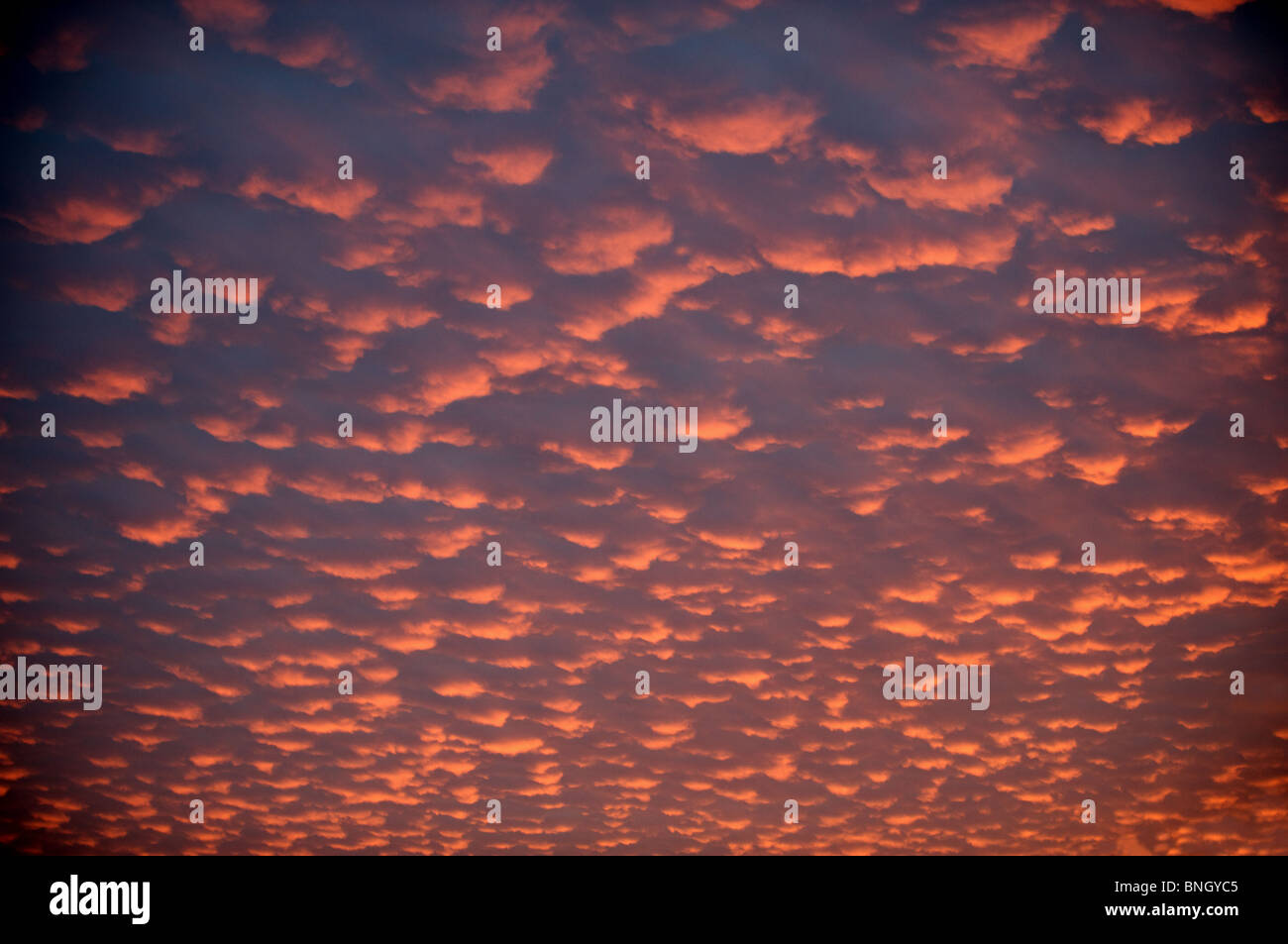 High level light hi-res stock photography and images - Alamy