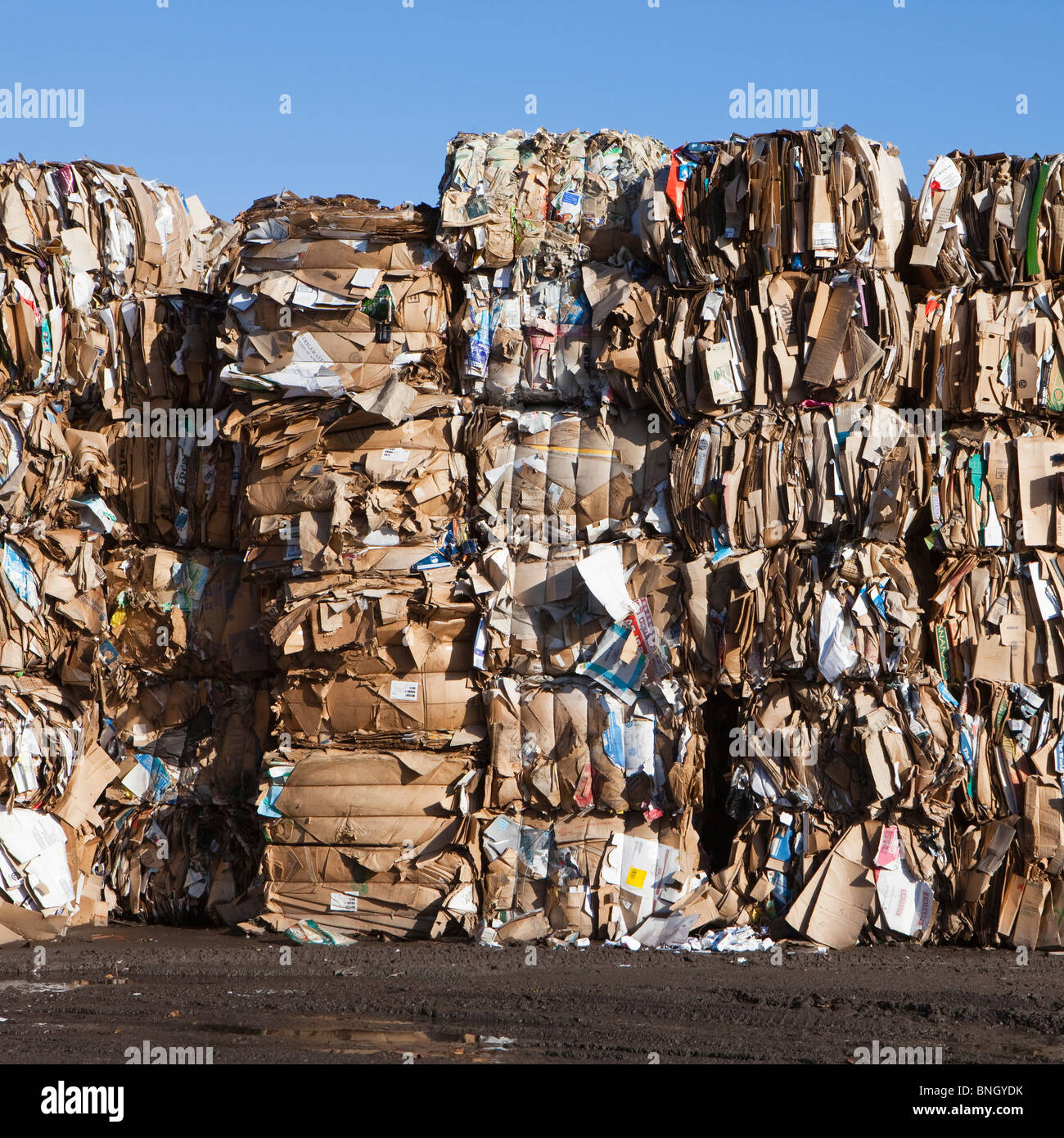 Stacks of recyclable cardboard boxes, Seattle, Washington State, USA ...
