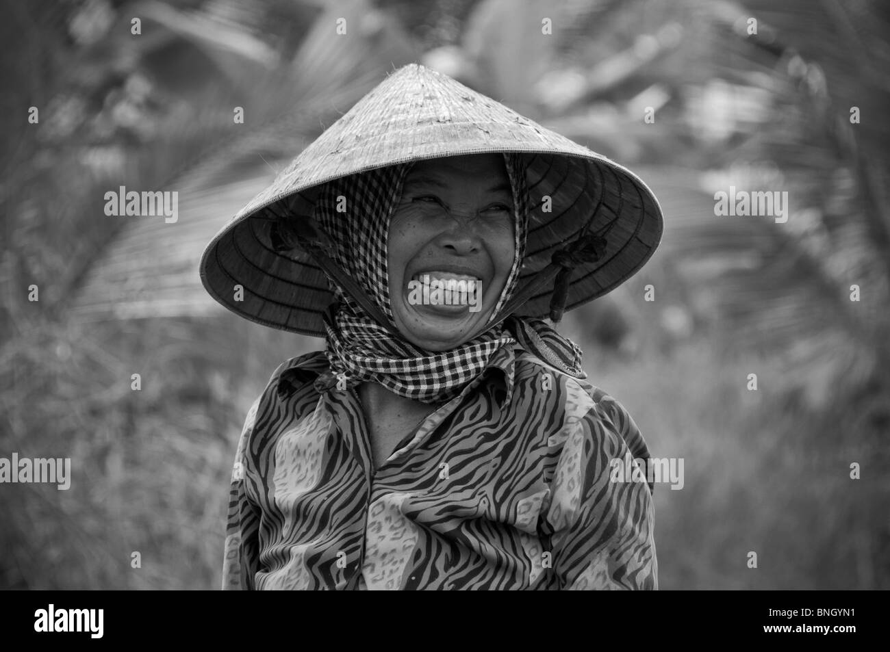 Paddy rice field at sunset Black and White Stock Photos & Images - Alamy