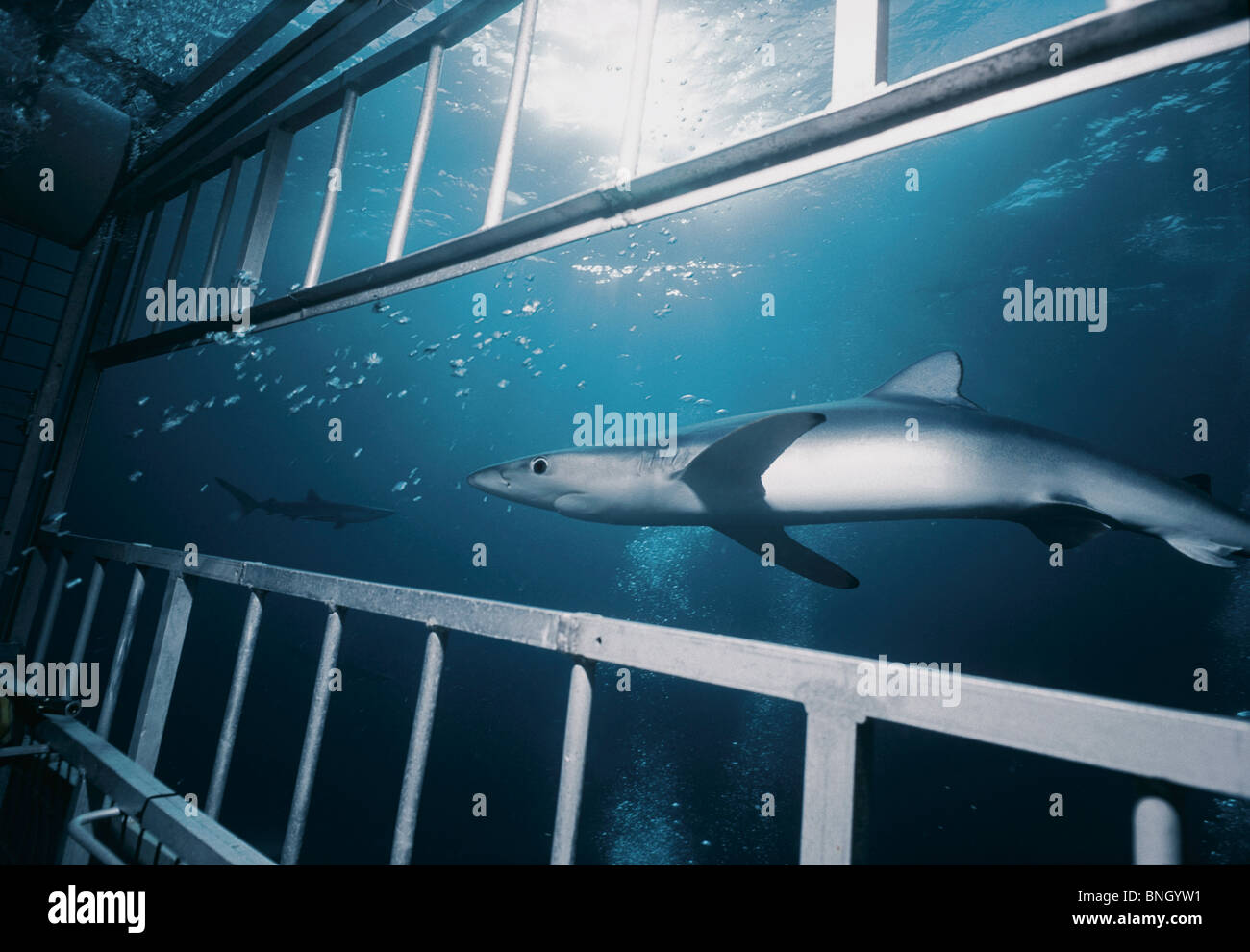 F01ie hi-res stock photography and images - Alamy