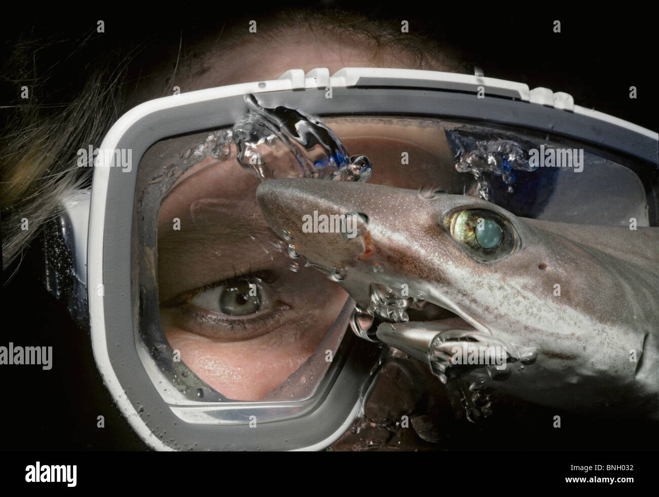 Omanesis hi-res stock photography and images - Alamy