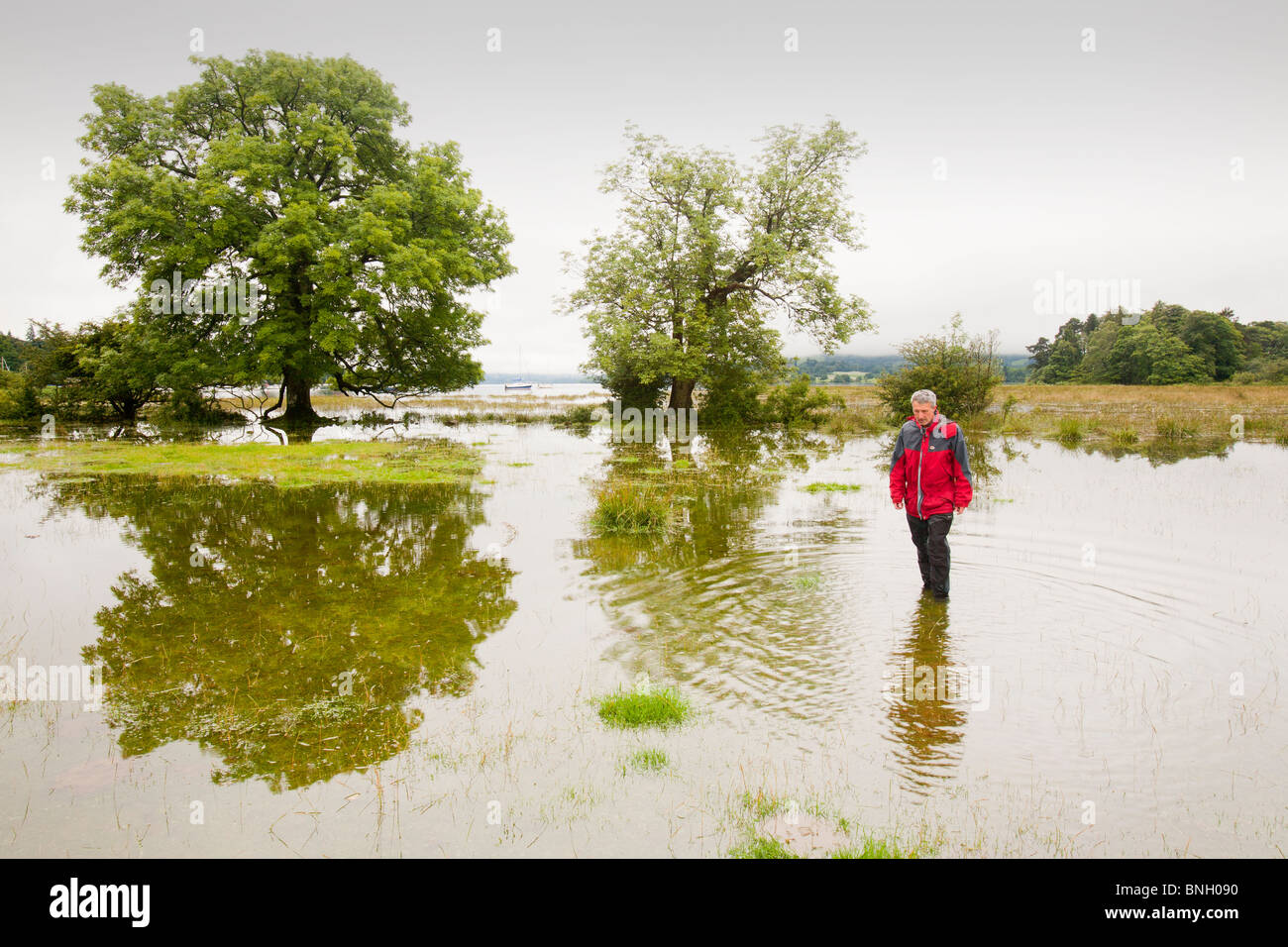 A man wading through flood waters at the edge of Lake Windermere in ...