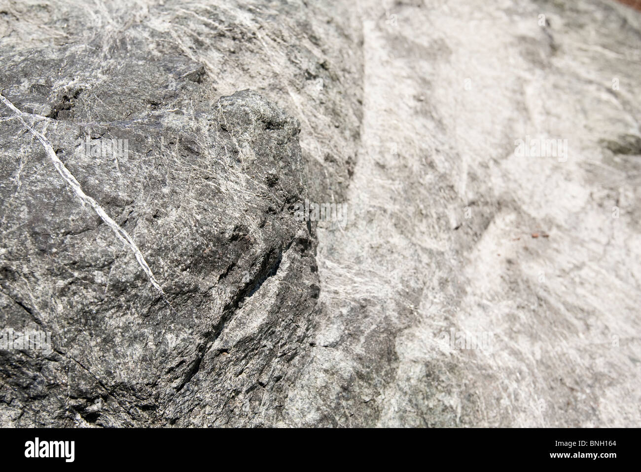 Detail of peridotite rock. peridotite is a dense, coarse-grained ...