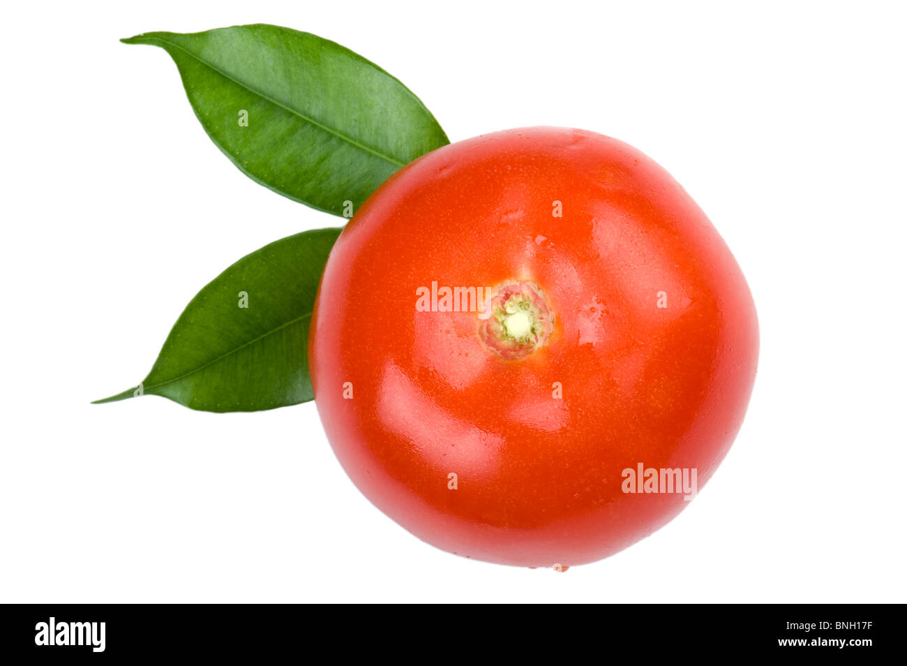 object on white - food tomato close up Stock Photo - Alamy