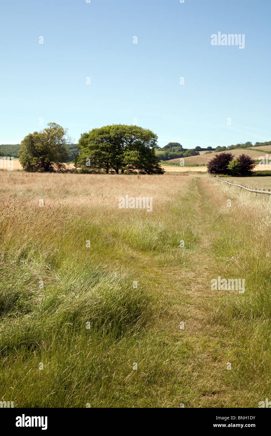 English countryside, Lyminge near Folkestone, Kent UK Stock Photo - Alamy