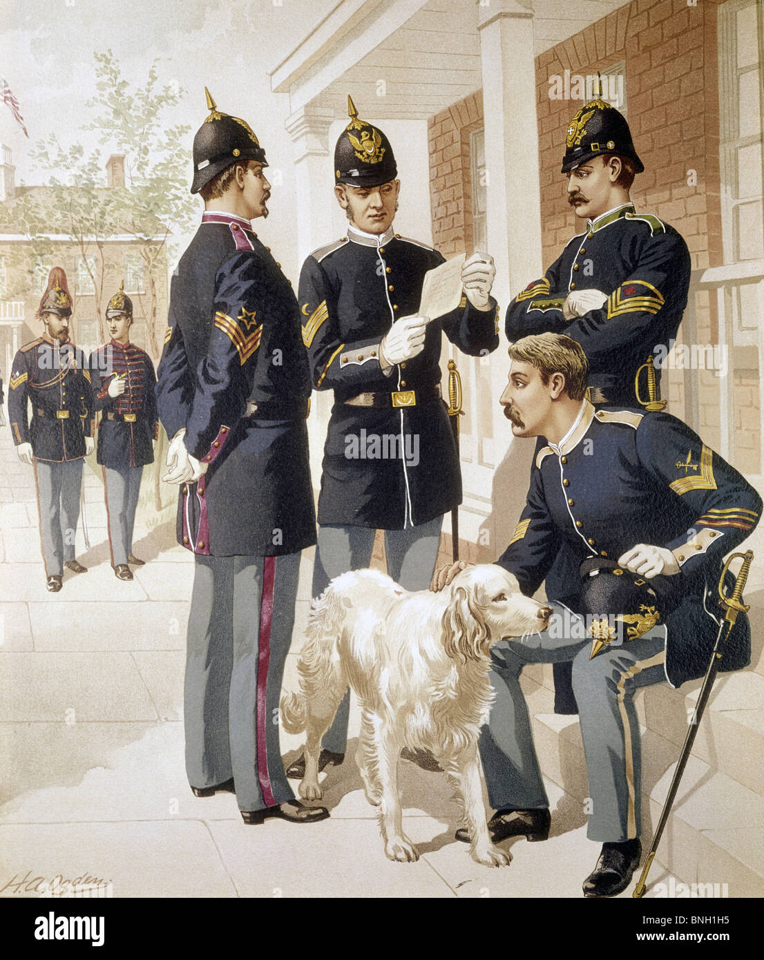 Non commissioned officers hi-res stock photography and images - Alamy