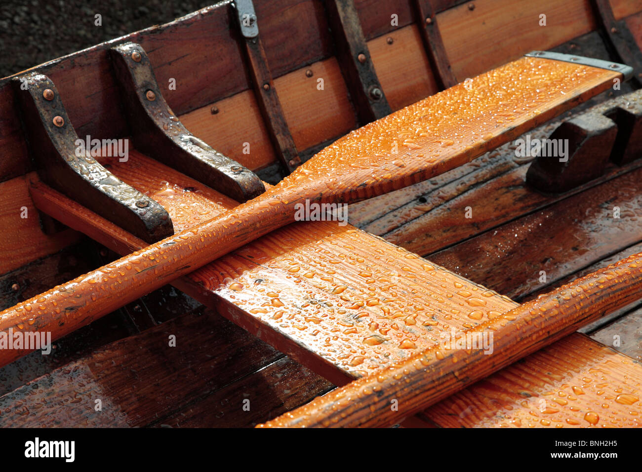 Oars of a wooden rowing boat saturated by rain and shining in the sun ...