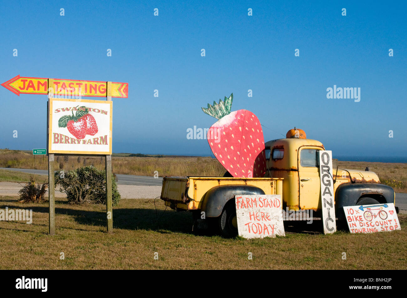Swanton Berry farm California central coast Stock Photo - Alamy