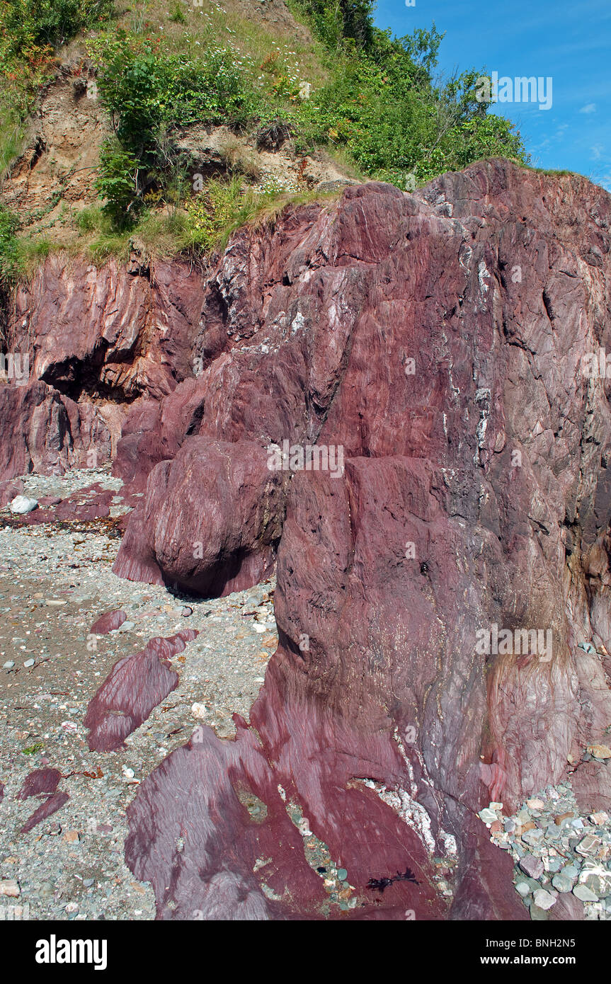 the distinctive red sandstone rock at cawsand in cornwall, uk Stock ...