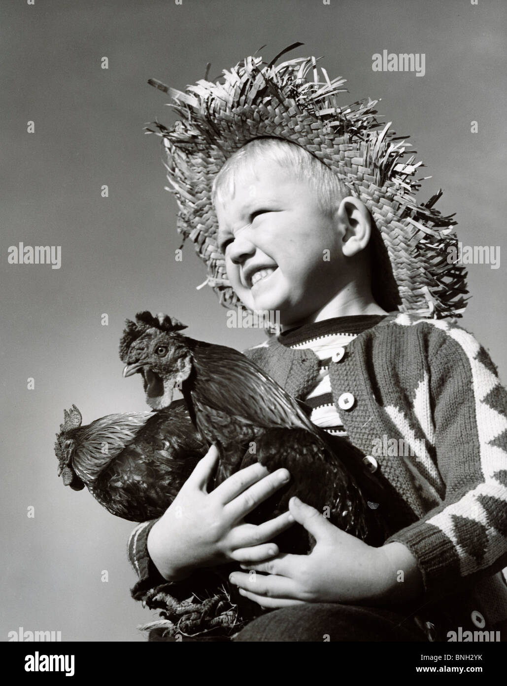 Boy holding rooster hi-res stock photography and images - Alamy