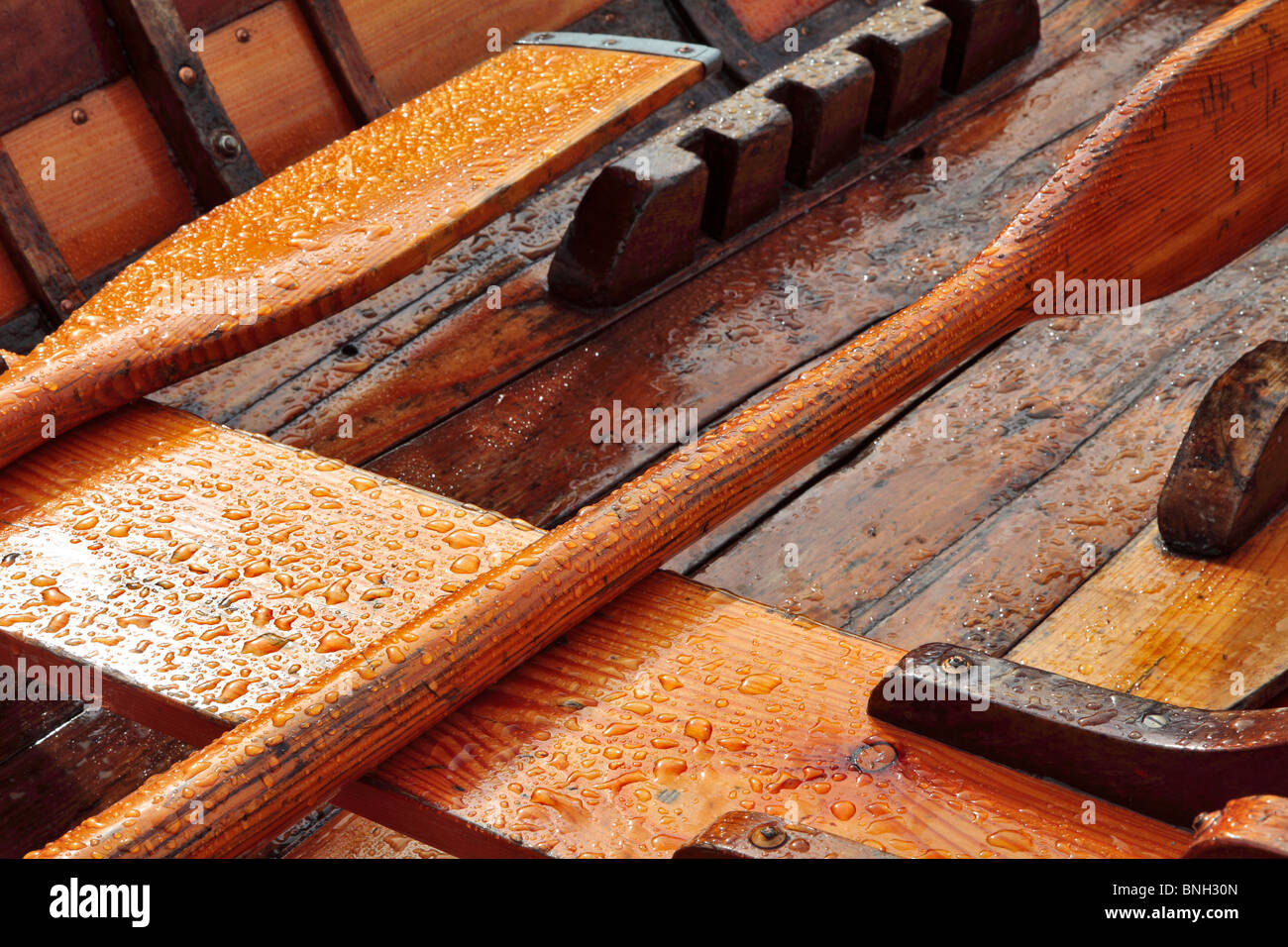 Oars of a wooden rowing boat saturated by rain and shining in the sun ...