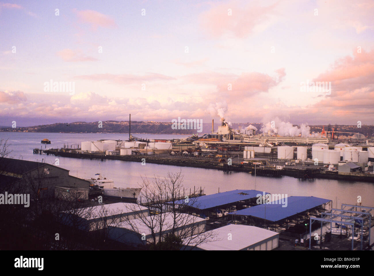 Large wood processing facility in Canada Stock Photo - Alamy